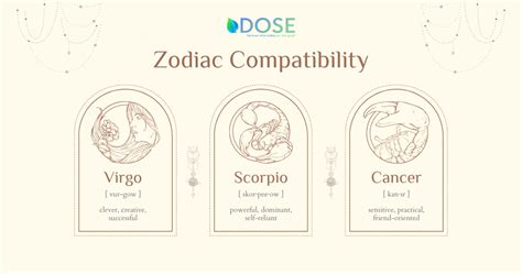 Zodiac Signs Compatibility A Glimpse Into Your Love And Friendship