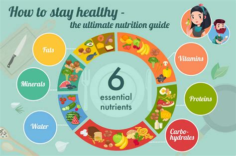 Essential Nutrients What Are They How Much Do You Need