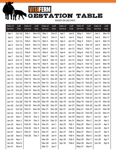 Beef Cattle Gestation Chart