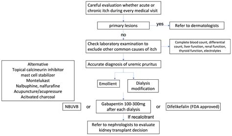 Diagnostics Free Full Text Uremic Pruritus From Diagnosis To Treatment