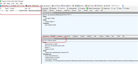 invoke asp web api delete method using fiddler