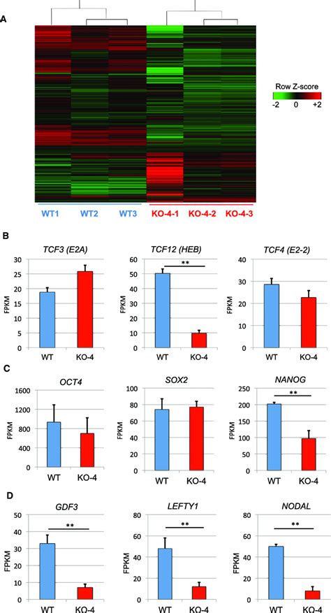 Global Transcriptome Profiling By Rna Seq Reveals Differences Between