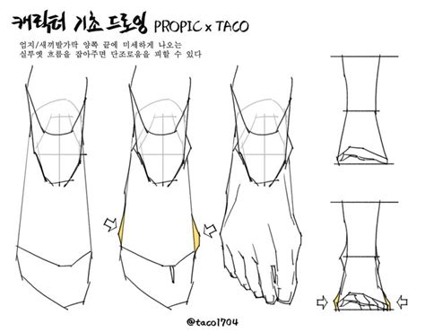 타코작가 Taco1704 On X 드로잉 강좌 체형 드로잉 해부학 그림