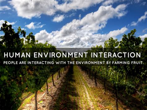 5 Themes Of Geography Human Environment Interaction