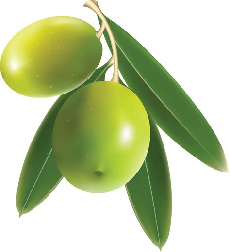 Olive Png Image File Png All