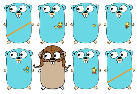 golang vs python golang is an alternative to python