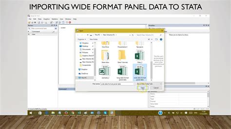 Importing Panel Data To Stata Youtube