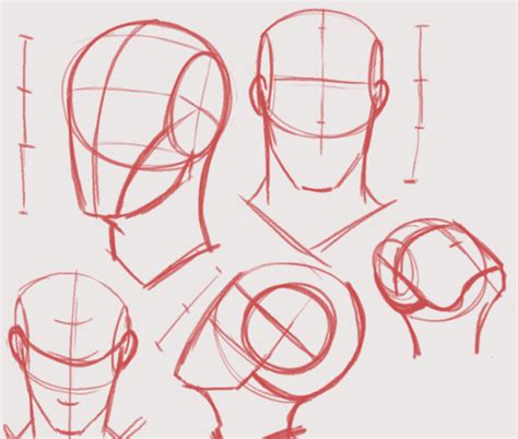 Share 127 Head Sketch Reference Best In Eteachers