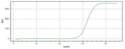 sry pcr primer pair sybr primepcr bio rad
