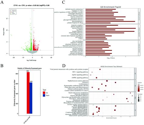 Rna Seq Analysis Of Degs Between Two Groups A Volcano Plots