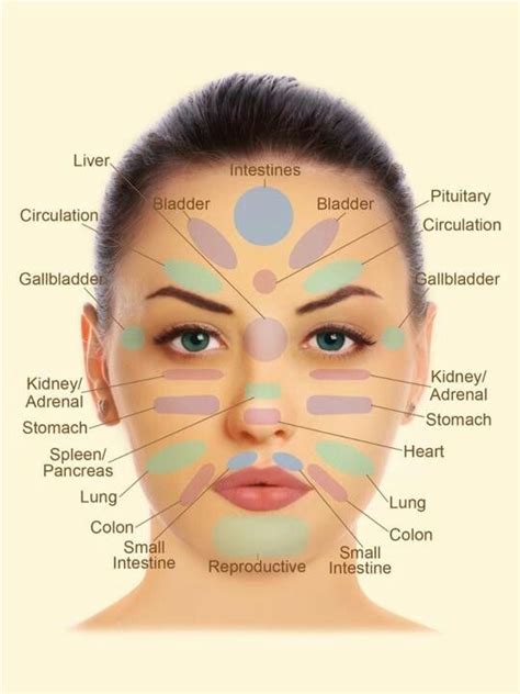 Face Reflexology I Almost Always Have A Cold Nose Could My Heart Be In