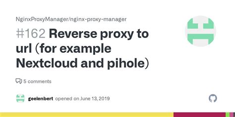 run pi hole and pfsense behind nginx proxy manager with domain r