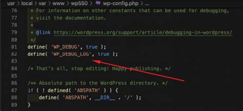 wordpress error data write to debug log wp debug log [wp config]