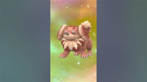 Shiny Fidough To Shiny Dachsbun In Pokemon Scarlet And Violet Youtube