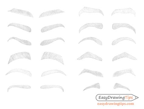 How To Draw Eyebrows Step By Step Easydrawingtips