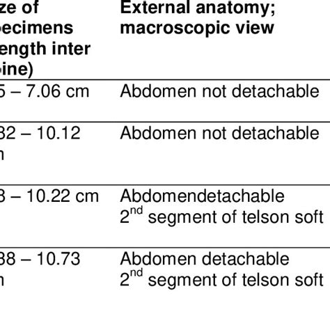 Stages Of Sexual Development And Macroscopic Description In Female