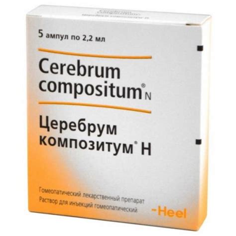 cerebrum compositum n buy online