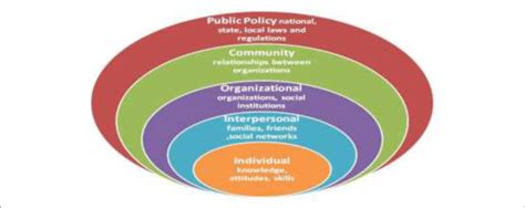 A Representation Of The Social Ecological Model Adapted From Centers