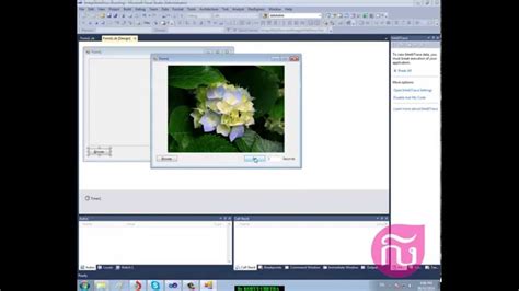 image photo slide with timer duration winforms vb net