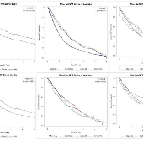 Km Survival Curves Of Npc Survival By Sex Morphology And Year Of