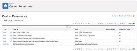 What Is Permission Set In Salesforce Einstein Hub Salesforce Guide