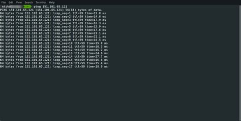 using of the linux command ping with examples