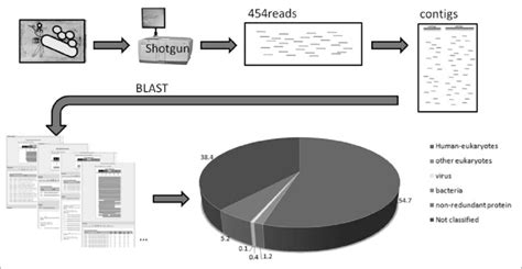 A Schematic Representation Of The Work Flow To Carry Out A Metagenomic