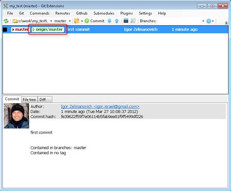 igor zelmanovich s blog setting up git git extensions