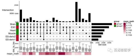complexheatmap 安装及绘制热图—如何让你的图变得高大上 百迈客生物
