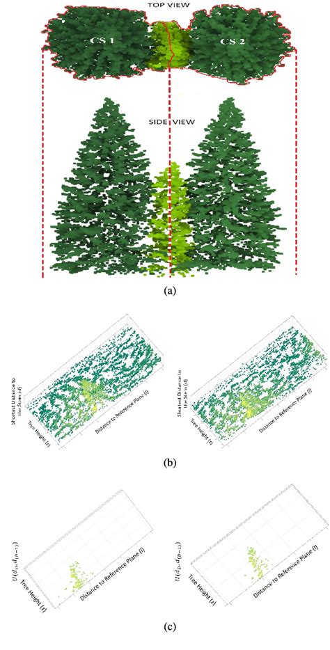 Figure 10 From A Local Projection Based Approach To Individual Tree