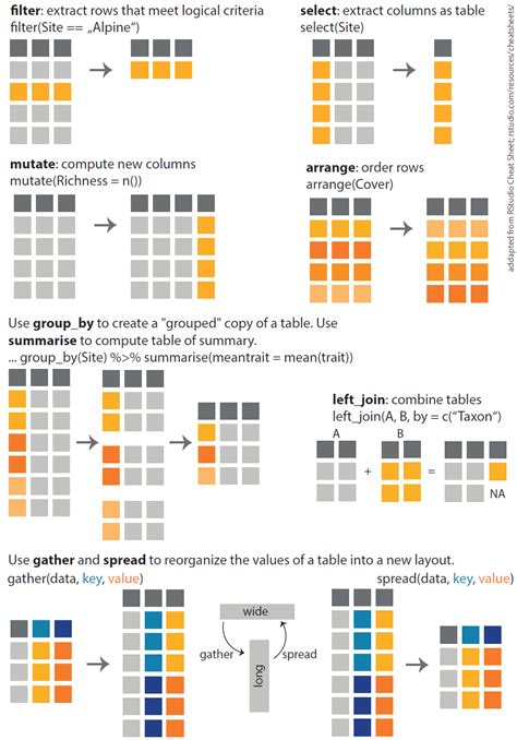 dplyr a simplified cheat sheet biost ts