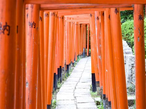 赤い鳥居が連なる、全国の美しい神社5選！ Navitime Travel