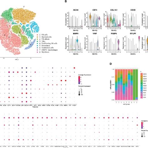 Single Cell Transcriptomic Analysis Reveals The Transcriptome Of Cells