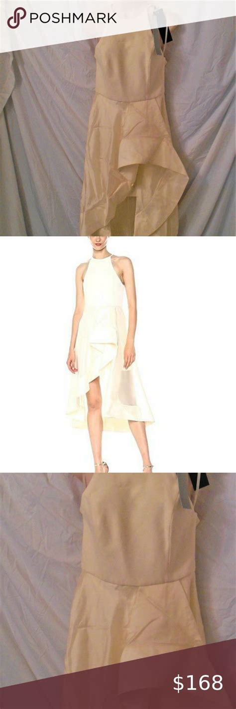 Halston Heritage Sleeveless High Neck Dress Sheer
