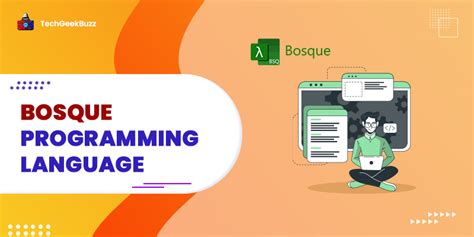 bosque programming language learn the basics