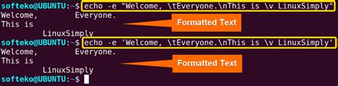 The “echo” Command In Linux [7 Practical Examples]