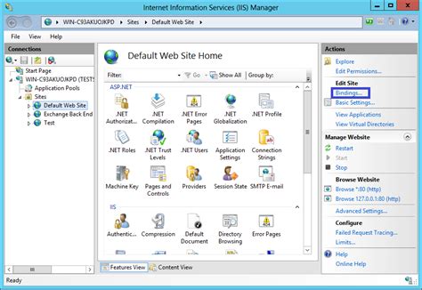 how to install a wildcard ssl certificate on iis csr