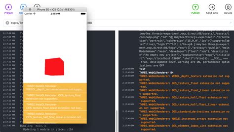 how can i log console log errors or other stuff using the expo on my