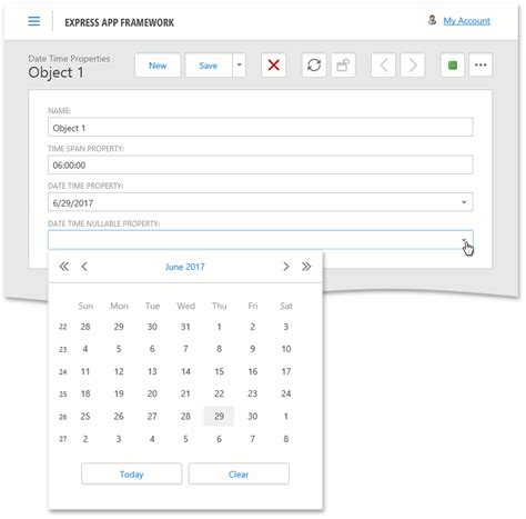 date and time properties expressapp framework devexpress documentation