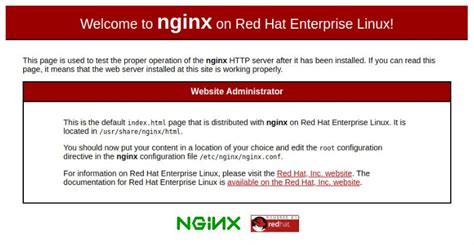 How To Install Latest Nginx On Almalinux Linux Vps Hosting Accuweb