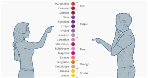 male vs female color perceptions and preferences