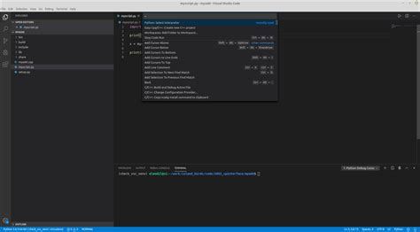 example debugging mixed python c in vs code nadiah