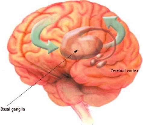 Frontiers Non Invasive Brain Stimulation For The Treatment 57 Off