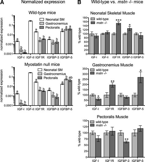 Skeletal Muscle Expression Of Igf Igfbp Axis Components In Wt And