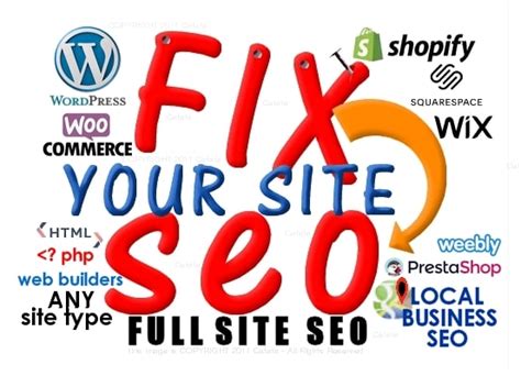 fix website seo pro check by catata fiverr