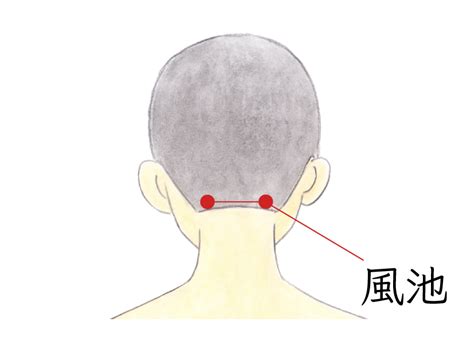 肩こりの解消方法を徹底まとめ！ストレッチ・マッサージ・ツボなどを鍼灸院の院長先生に聞いてきました リカバリーウェア・寝具の専門店