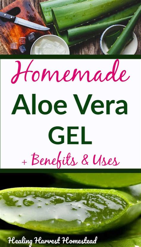 How To Make Your Own Aloe Vera Gel And 8 Ways To Use It Plus Facts