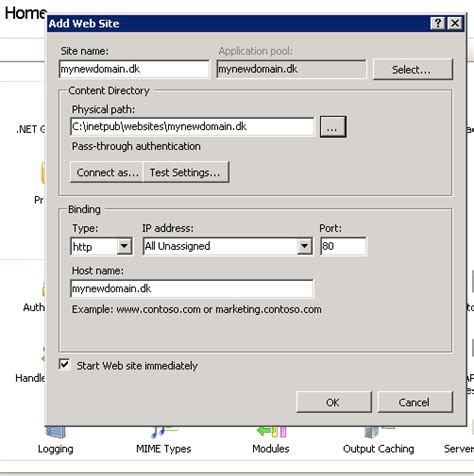 how to create a website in iis manager create as many as you want