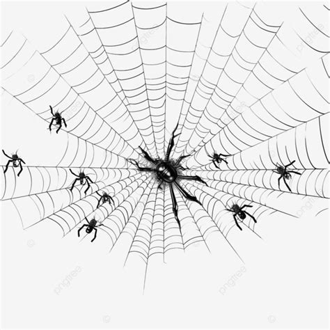 3d Grey Cobweb With Black Venomous Spiders Halloween Spider Web With
