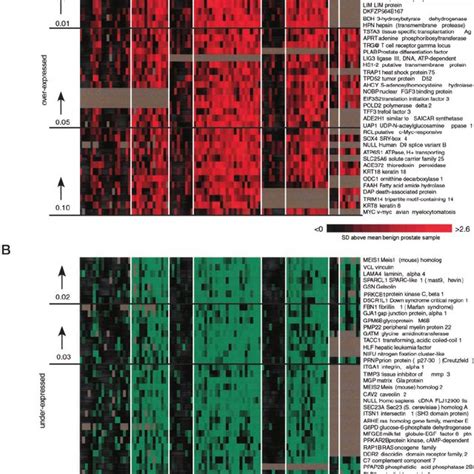 a model for meta analysis of microarrays see text for details